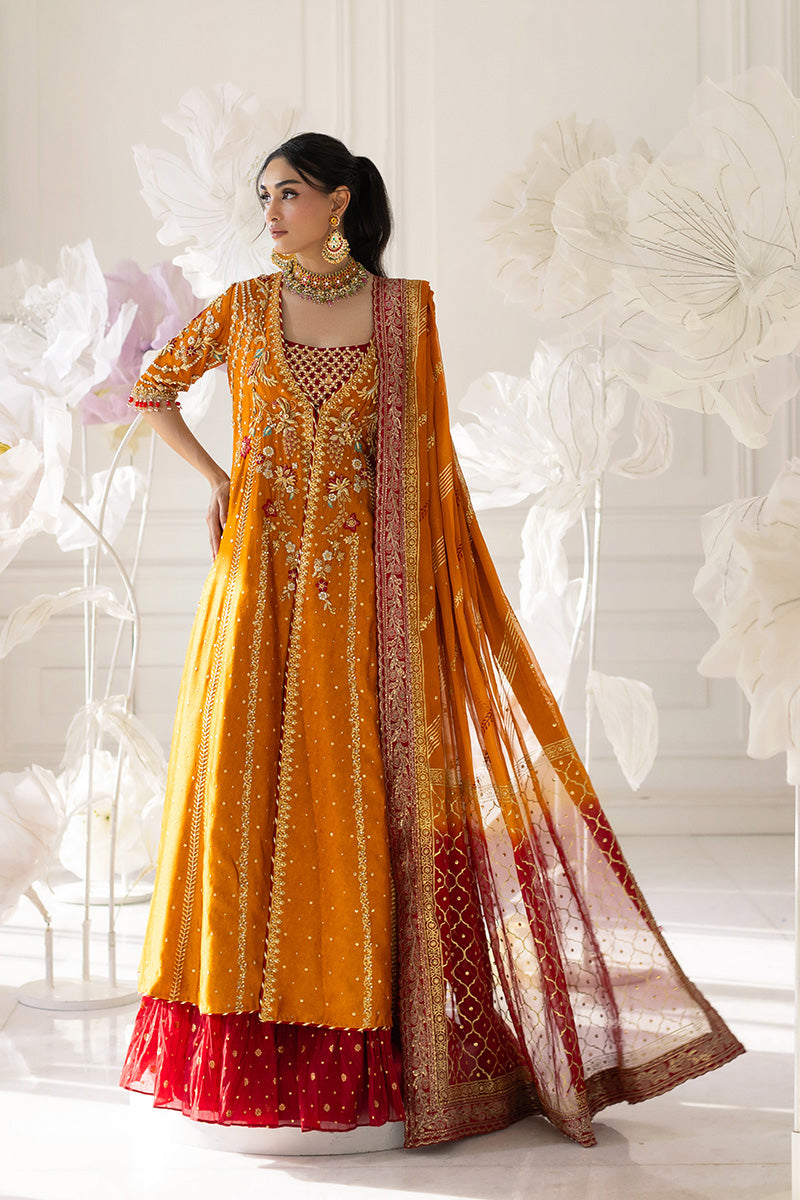 Formals Lehenga Collection | Mina Hasan – Mina Hasan